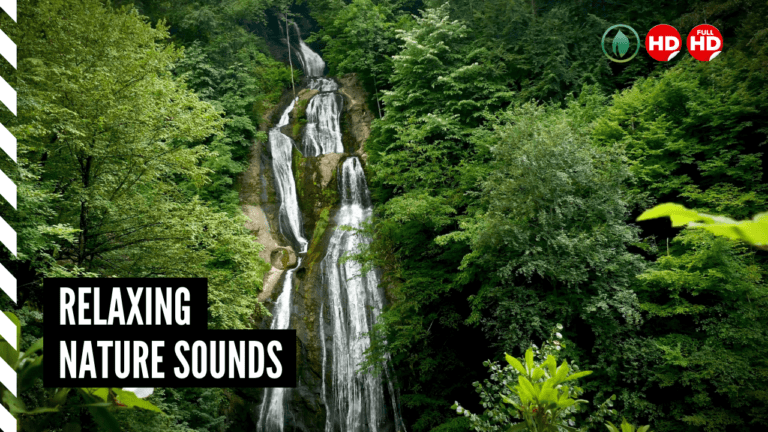 Best Relaxing Nature Sounds Waterfall and Forest. - Relax Nation