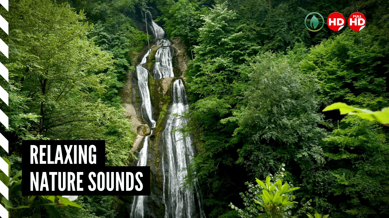 Best Relaxing Nature Sounds Waterfall and Forest. - Relax Nation
