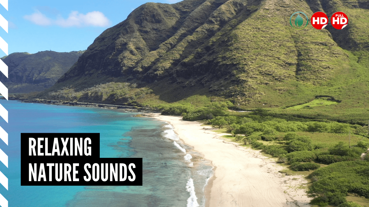 ? Nature Sounds and Relaxing Music For Meditations, Deep Sleep ...