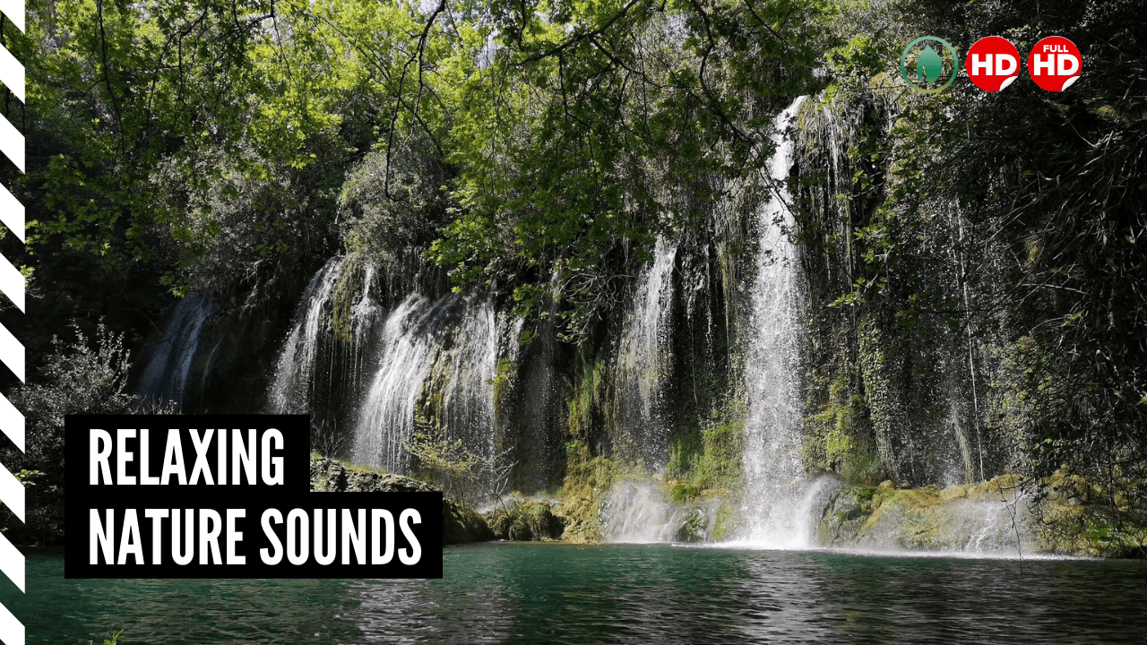 Relaxing Nature Sounds Waterfall Forest Ambiance and Birds Sounds ...