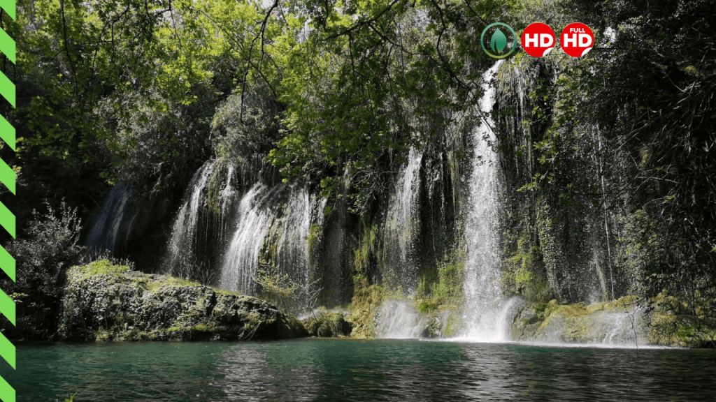 Relaxing Nature Sounds Waterfall Forest Ambiance and Birds Sounds ...